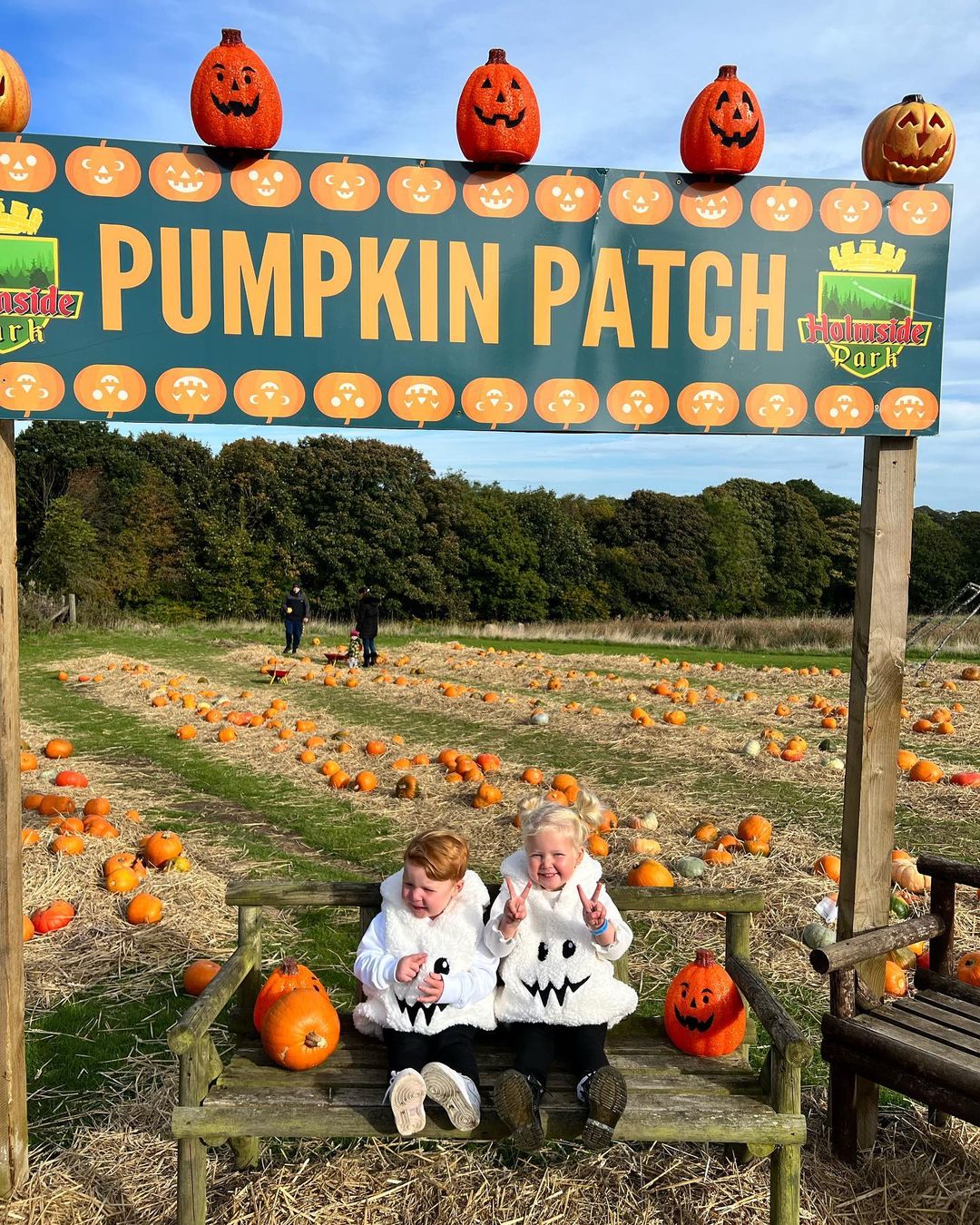 Pumpkin Patch in County Durham | Holmside Park